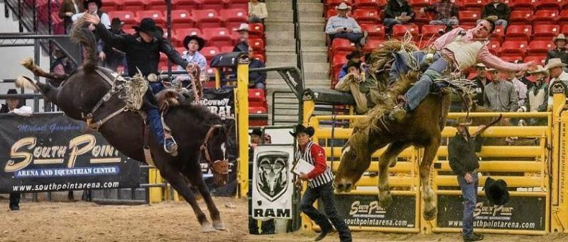 Benny Binion's World Famous Bucking Horse & Bull Sale